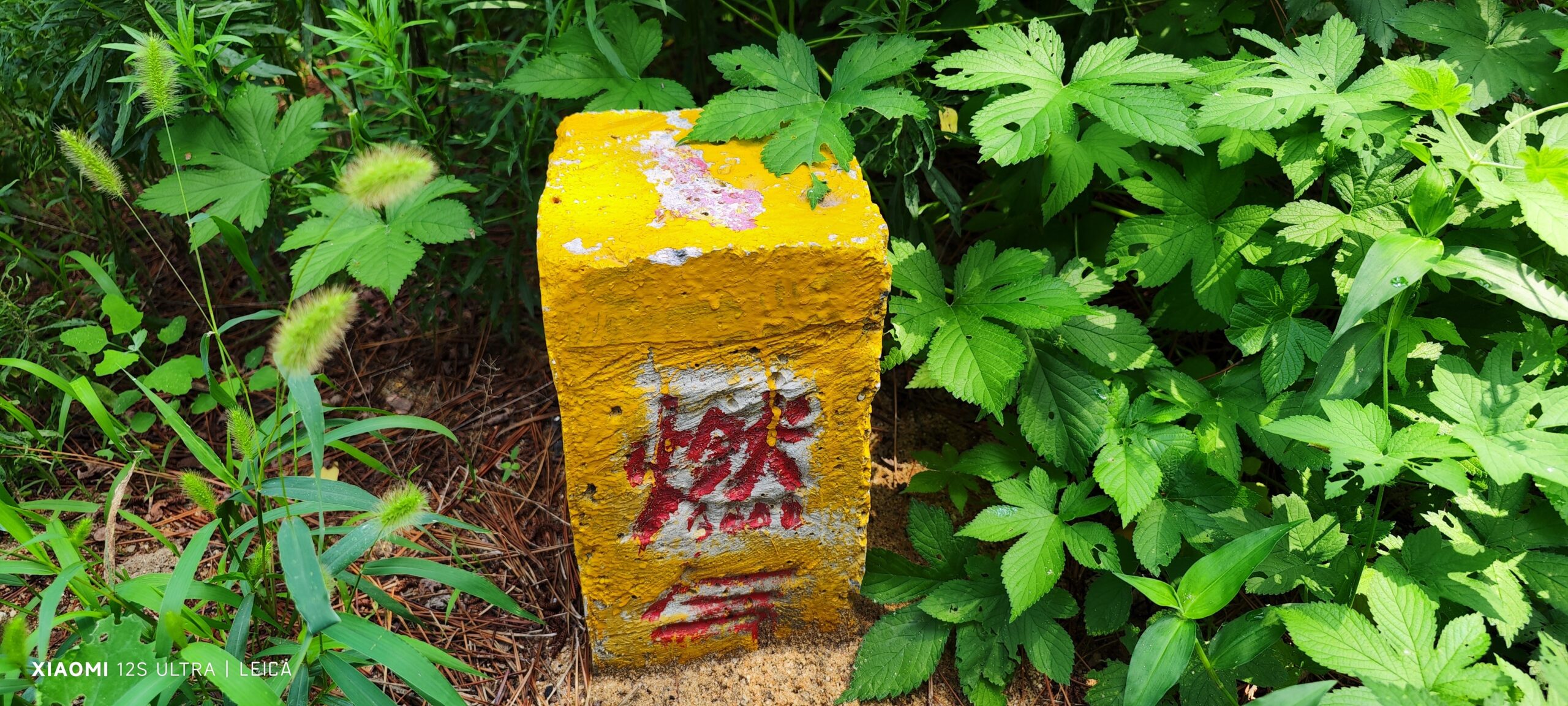 Xiaomi 12S Ultra vs iPhone 13 Pro - விவரக்குறிப்புகள் ஒப்பீடு - Xiaomiui.Net